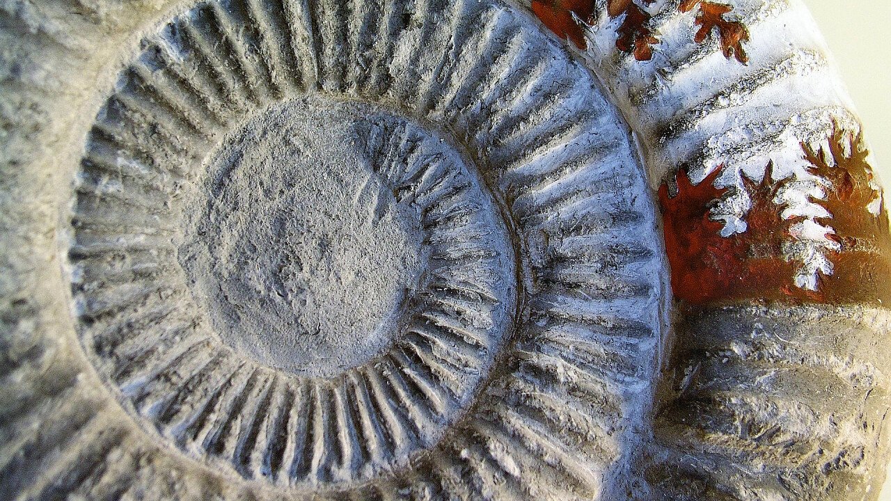 Musei delle Dolomiti in Trentino, Alto Adige e Bellunese